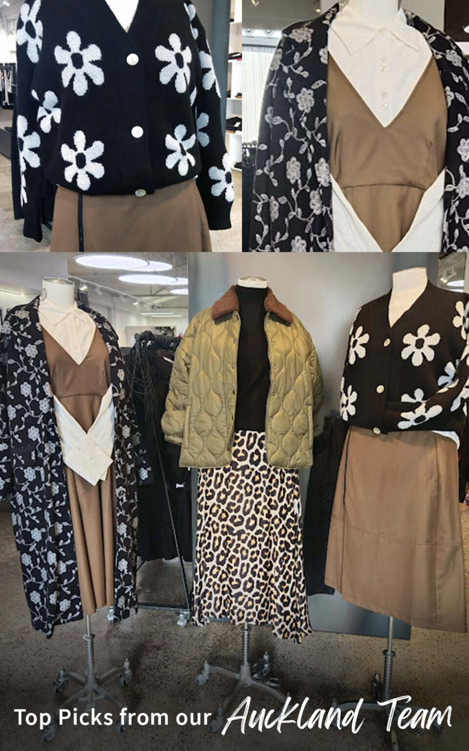 AU – Zebrano | Designer Clothing NZ